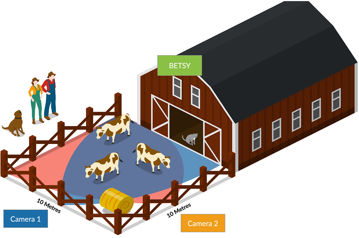 Eyes of the Rancher: OneCup AI Brings Computer Vision to Farms ...