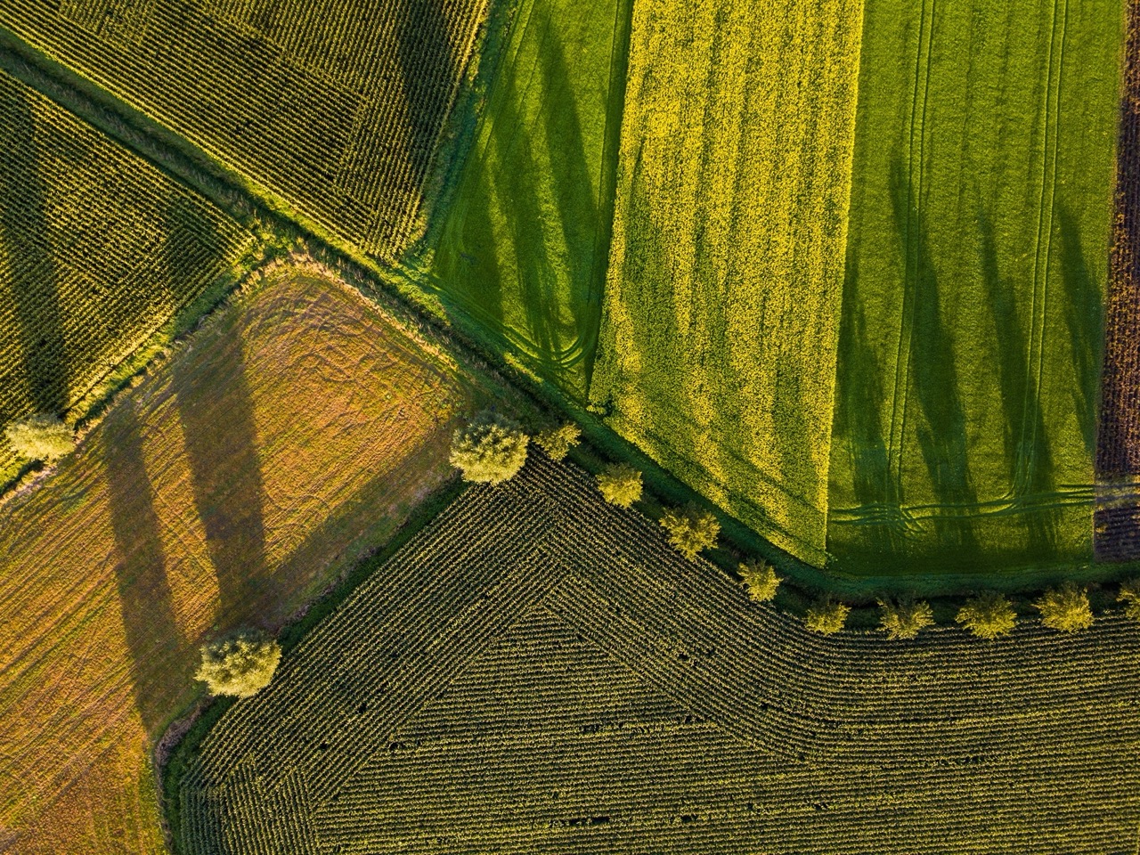 Alberta Innovates 'Invigorating' Agricultural Sector Through Investment ...
