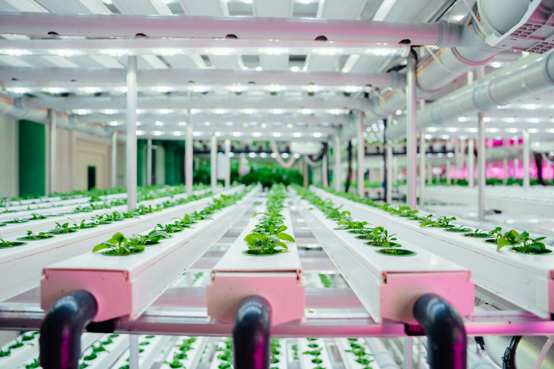 ATB Financial and The51 Close $51M AgTech Fund to Drive Agricultural ...