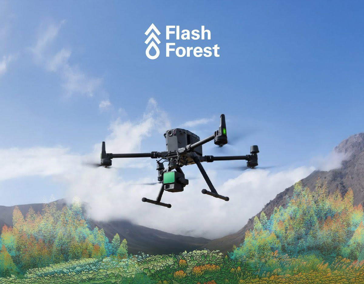 Flash Forest Bets on Calgary for Scale - Calgary.Tech